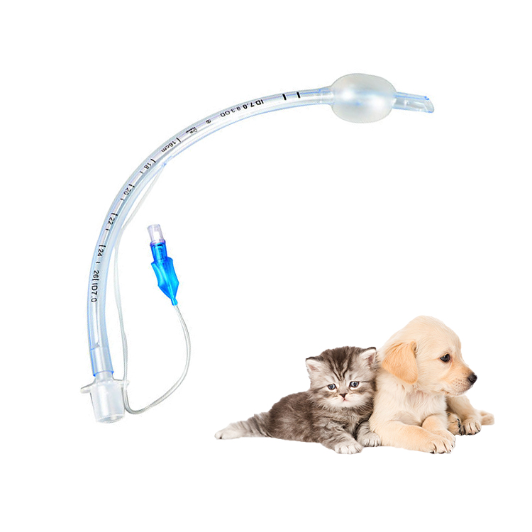 Best Veterinary use endotracheal tube for dog/cat Manufacturer and ...